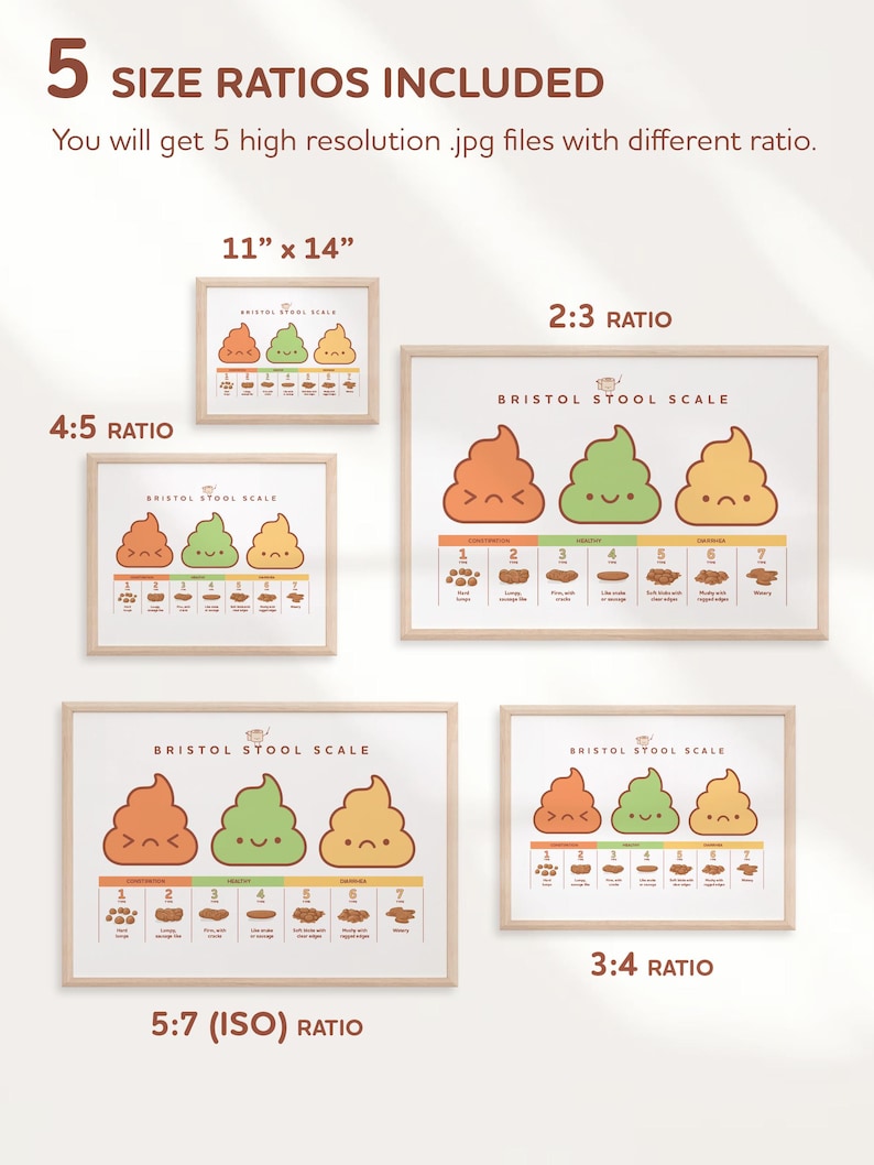 Bristol Stool Scale Poster, Medical Human Anatomy Wall Art, Funny Poop ...