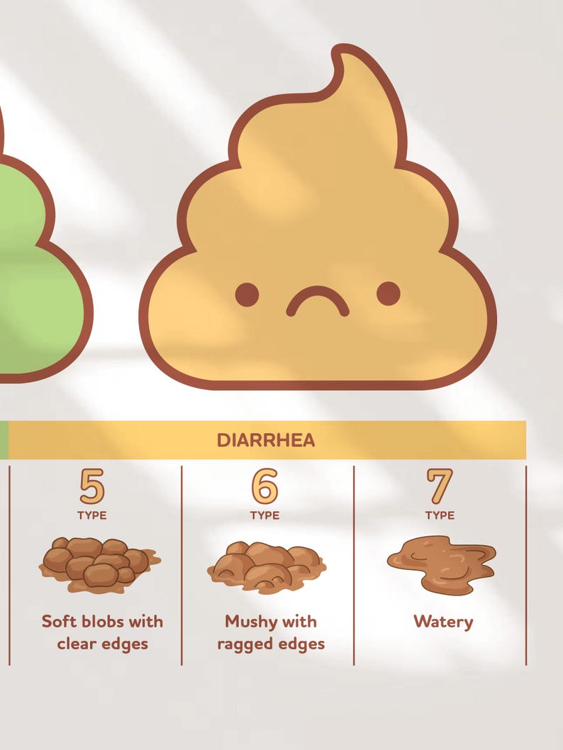 Bristol Stool Scale Poster, Medical Human Anatomy Wall Art, Funny Poop ...