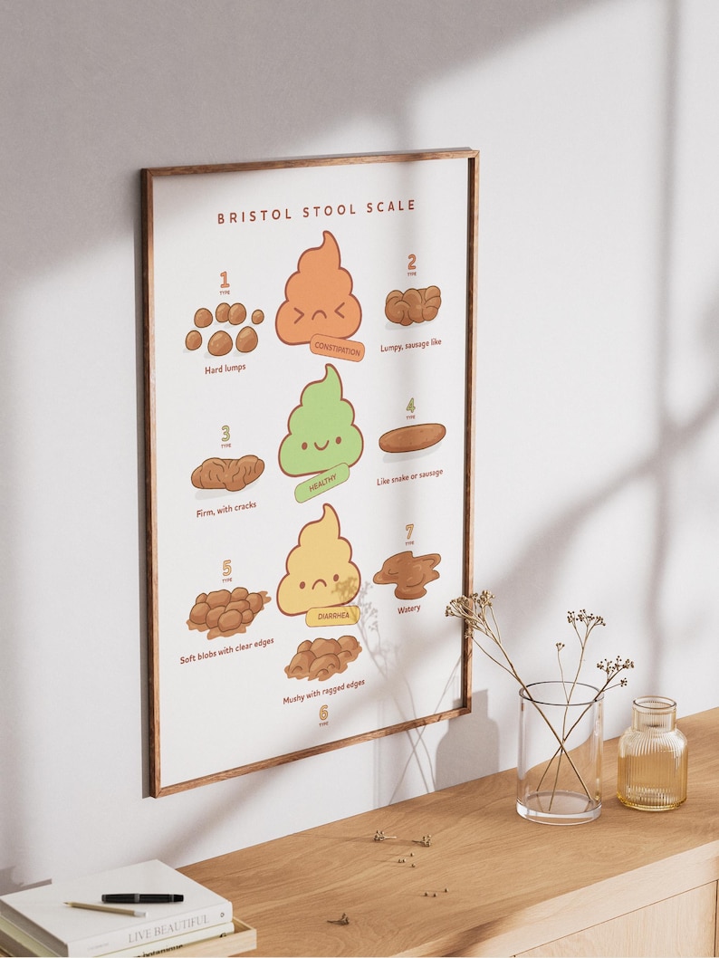 Poop Health Poster for Kids, Medical Human Anatomy Wall Art, Bristol ...