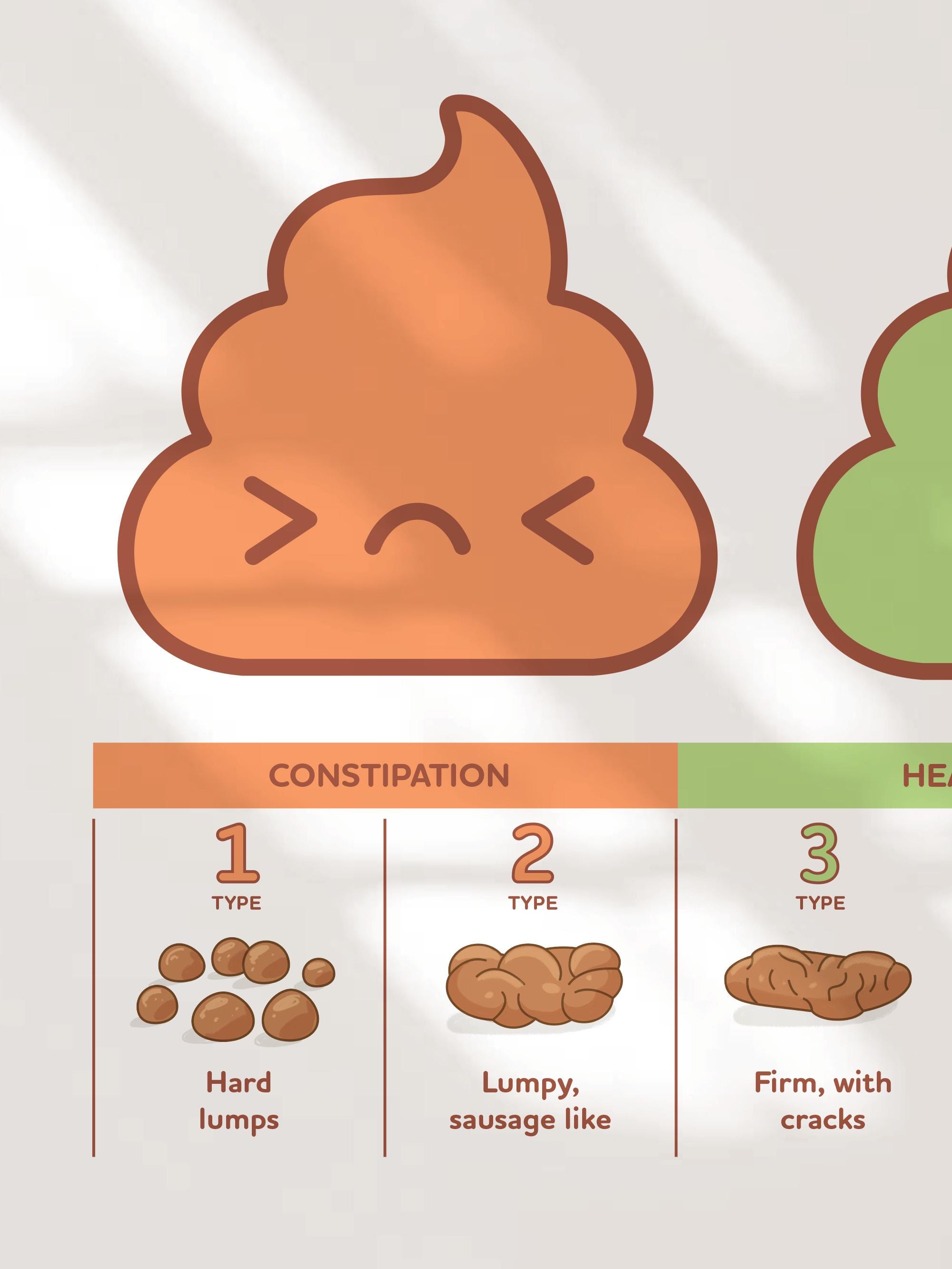 Bristol Stool Scale Poster, Medical Human Anatomy Wall Art, Funny Poop ...