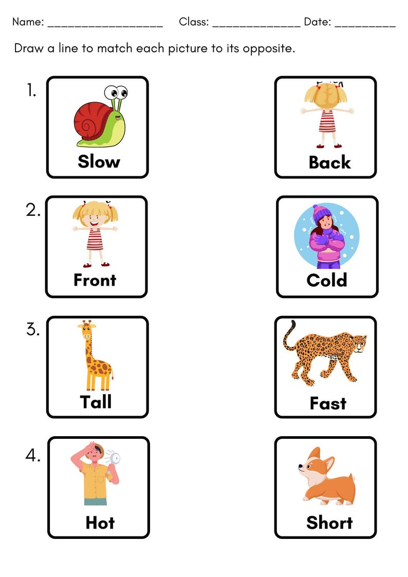 Opposite Worksheet for Kindergarten for Preschooler Printable Colorful ...