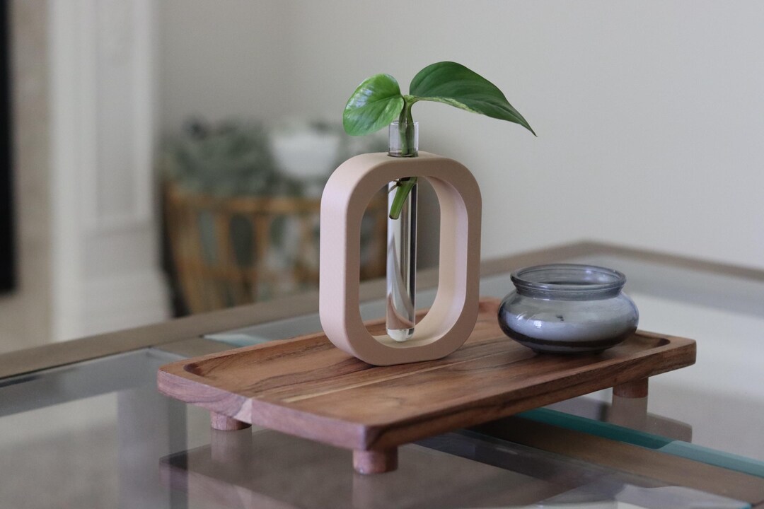 Minimalist Test Tube Vase – Modern Propagation Planter for Cuttings ...