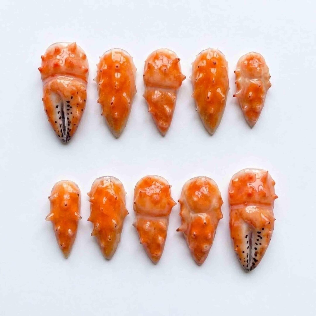3D Crabs Press on Nails | Glossy Orange Crab Shell | Textured Spiky ...
