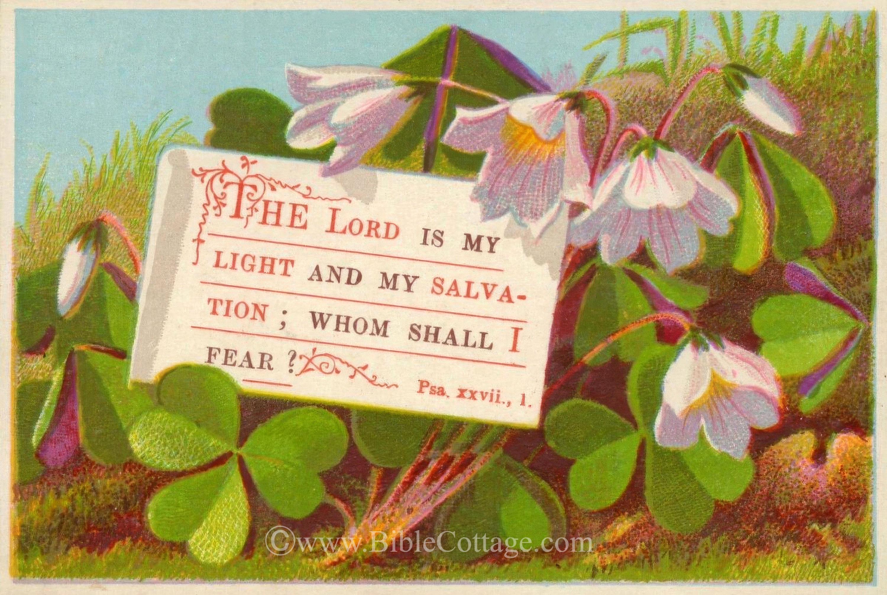 New! the Lord is My Light and My Salvation – Psalm 27:1 – Vintage Bible ...