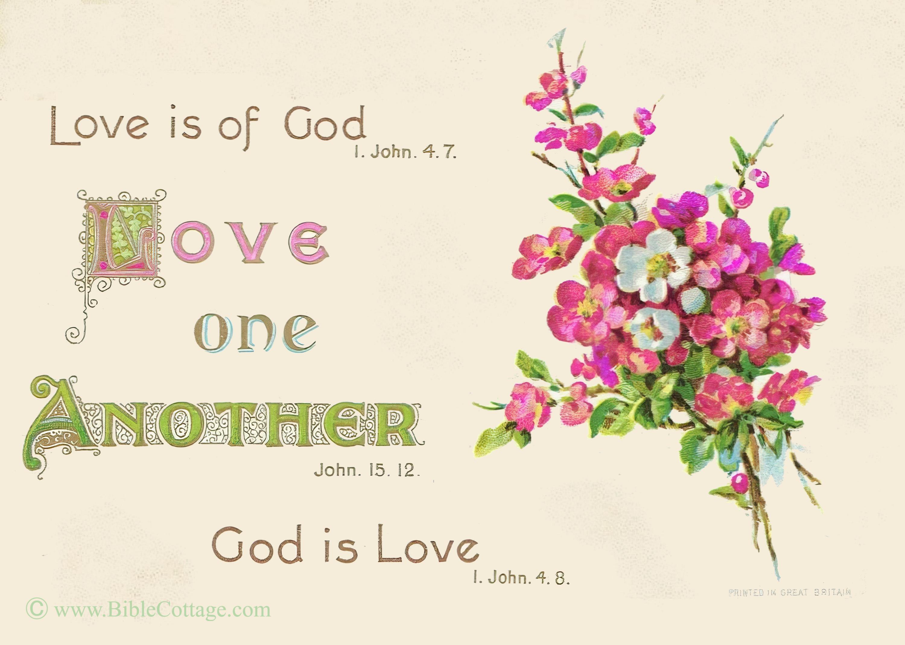 New! Love One Another – 1 John 4:7, John 15.12, 1 John 4.8 – Vintage ...