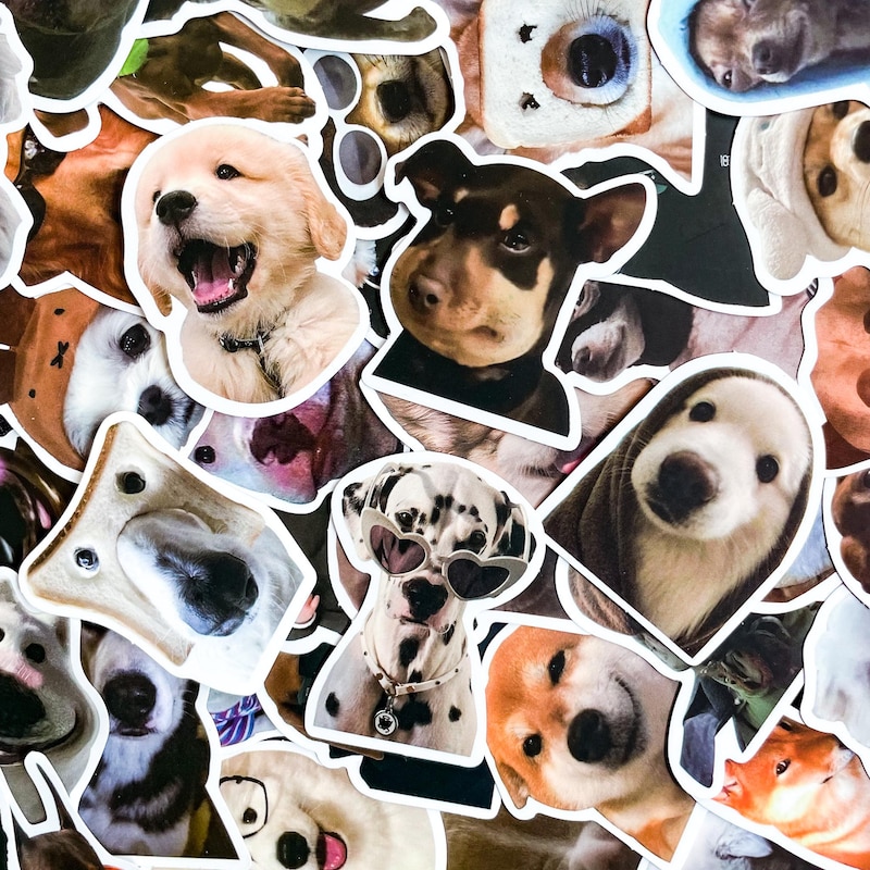 Sticker Vinyl Dog Meme - Etsy UK