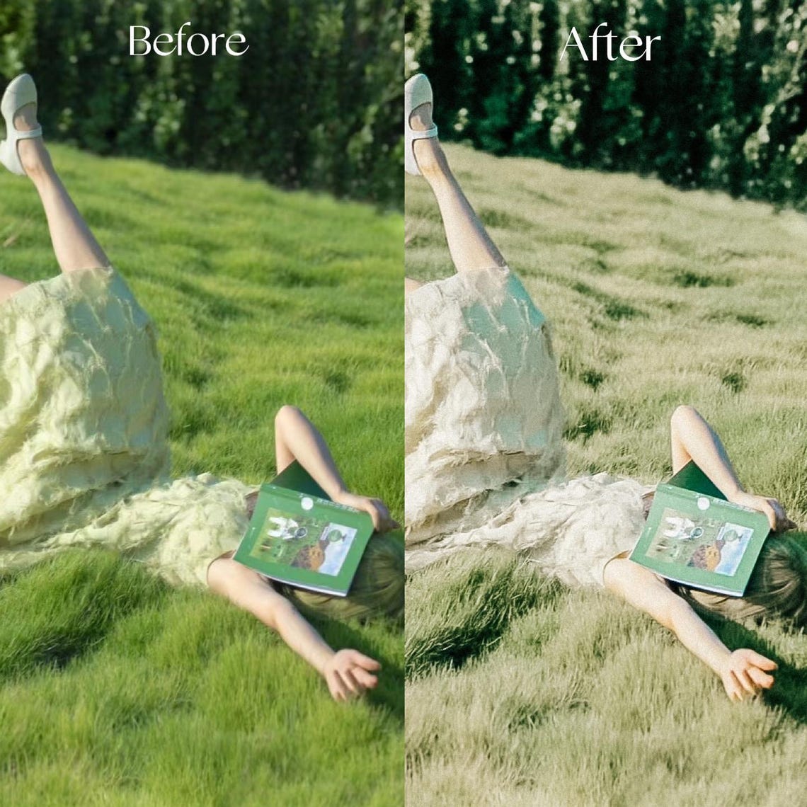 17 Jungle Presets, Vibrant, Lush Filters for Rich Greens and Earthy ...