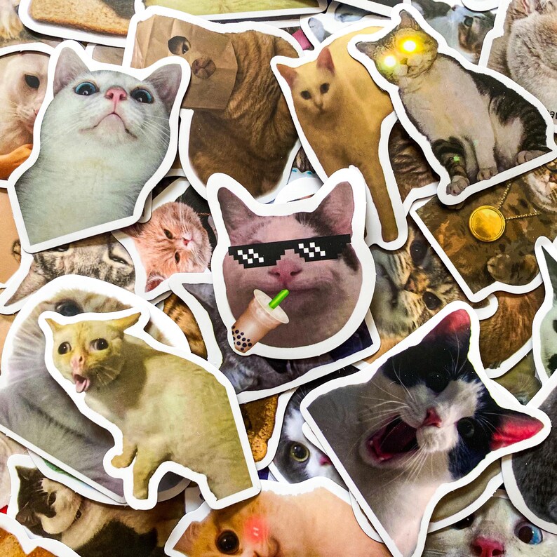 50PCS Funny Cat Meme Stickers Pack, Waterproof Vinyl Stickers, Animal ...