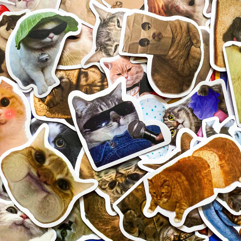 50PCS Funny Cat Meme Stickers Pack, Waterproof Vinyl Stickers, Animal ...