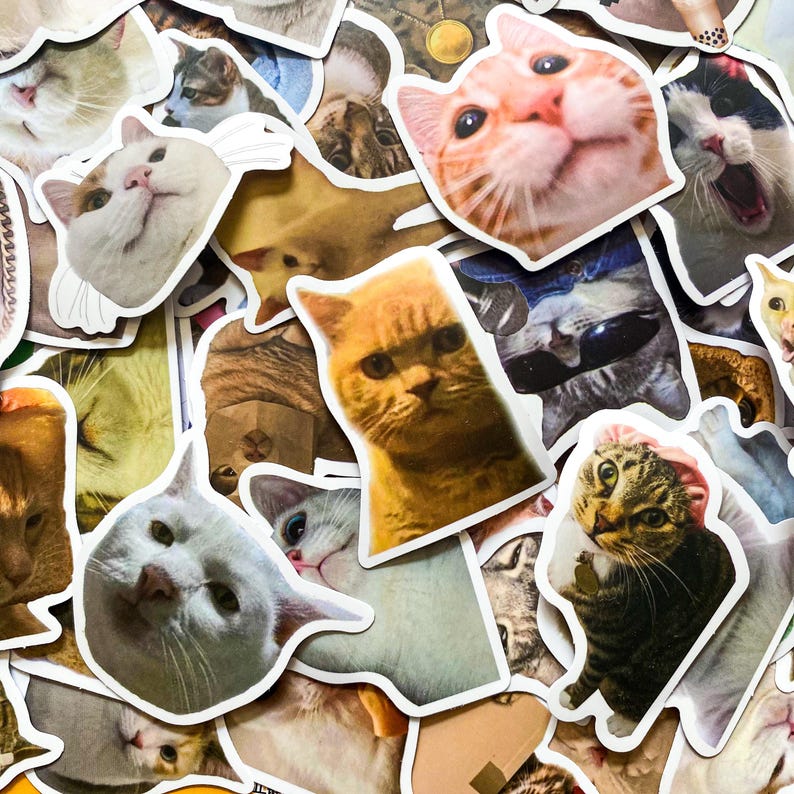 50PCS Funny Cat Meme Stickers Pack, Waterproof Vinyl Stickers, Animal ...