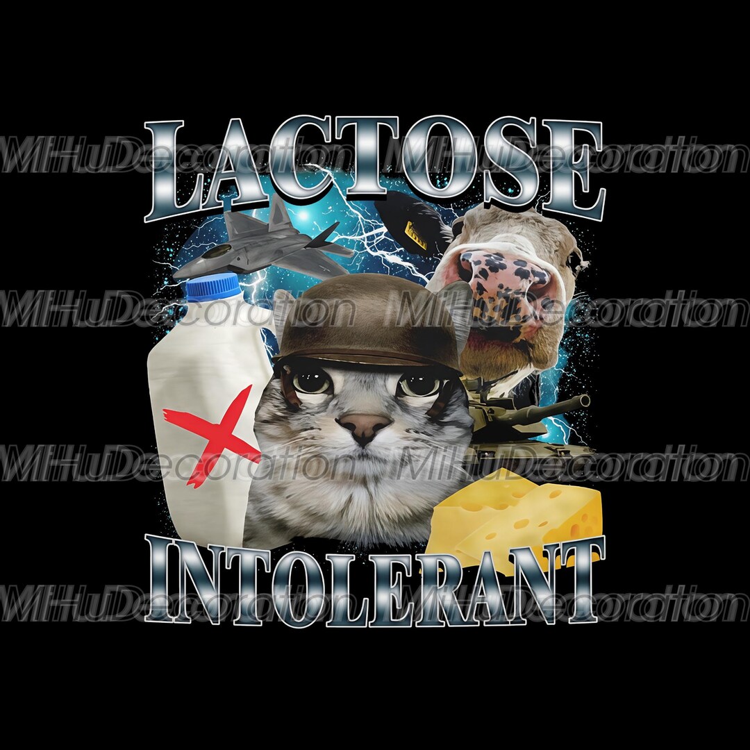 Lactose Intolerant Silly Cat Meme Funny Saying Cats Digital Download ...