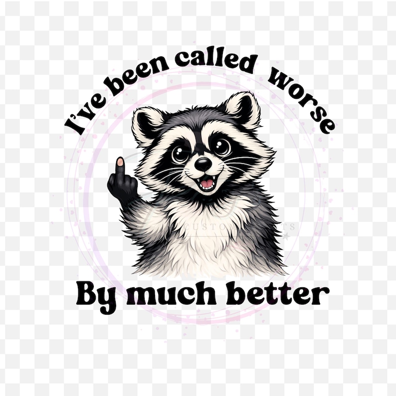 Funny Raccoon Middle Finger PNG Bundle, Sarcastic Raccoon Graphic ...