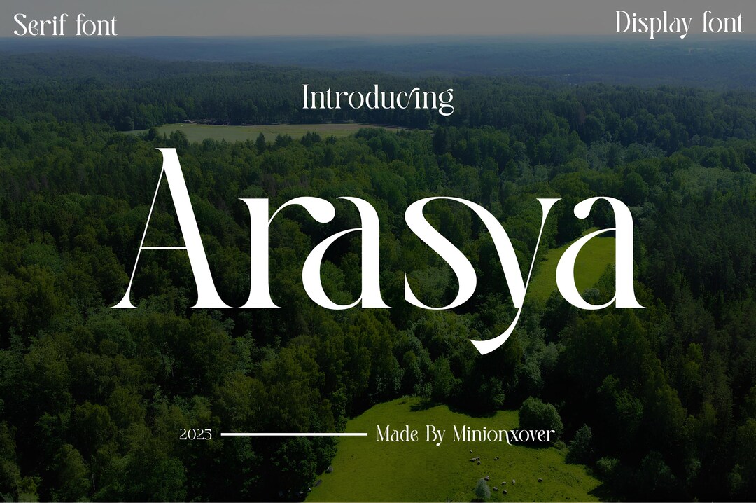 Arasya - Modern Serif Font, Elegant Fonts, Fancy Fonts, Serif Fonts ...