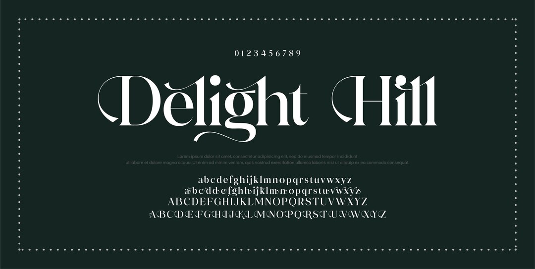 Delight Hit Serif Font - Modern Font, Boho Font, Swash Font, Fonts for ...