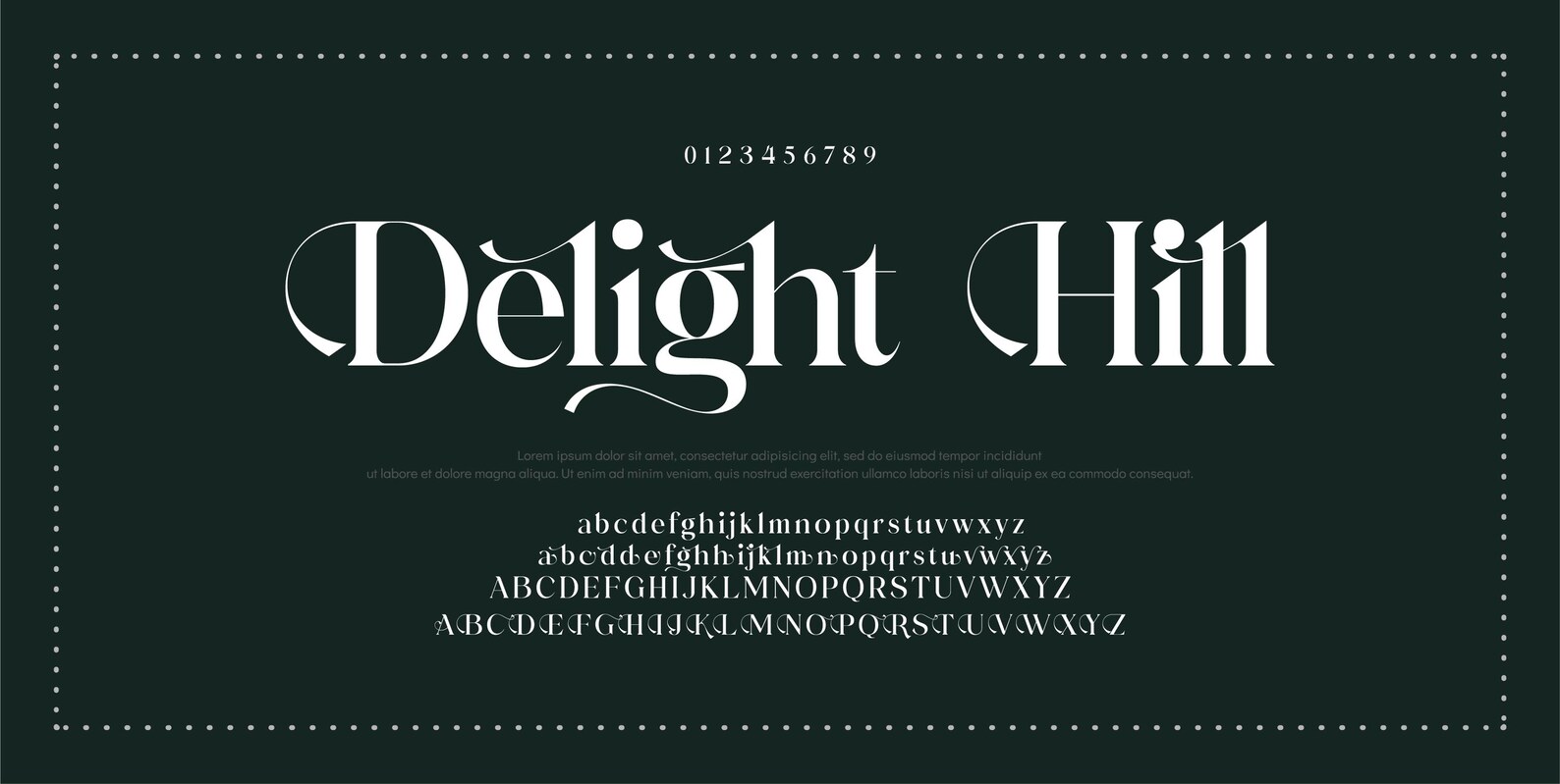 Delight Hit Serif Font - Modern Font, Boho Font, Swash Font, Fonts for ...