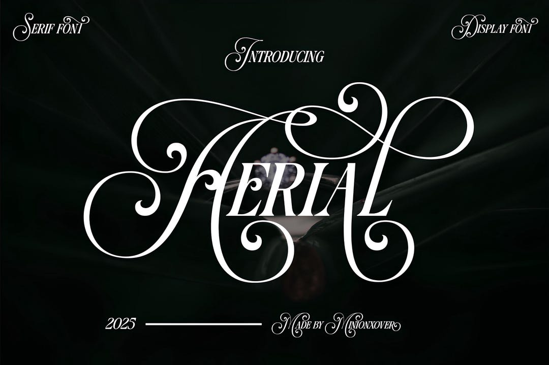 AERIAL Serif Font - Modern Font, Boho Font, Swash Font, Fonts for ...