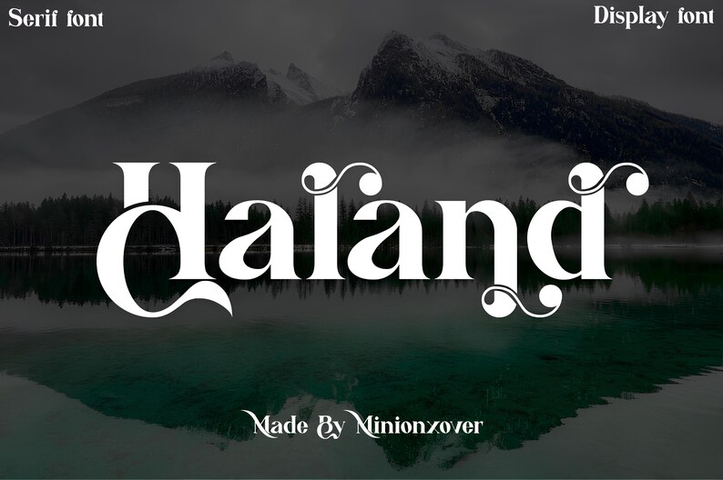 Belak - Modern Luxury Sans Serif Font, Elegant Font, Curvy Font, Modern ...