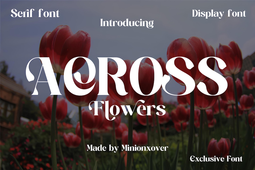 Across Font - Serif Font, Modern Font, Stylish Font, Classy Fonts, Logo ...