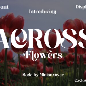 Across Font - Serif Font, Modern Font, Stylish Font, Classy Fonts, Logo ...