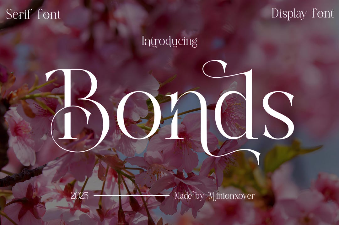 Bonds Font - Serif Font, Modern Font, Boho Font, Branding Font, Swash Font, Fonts for Cricut ...
