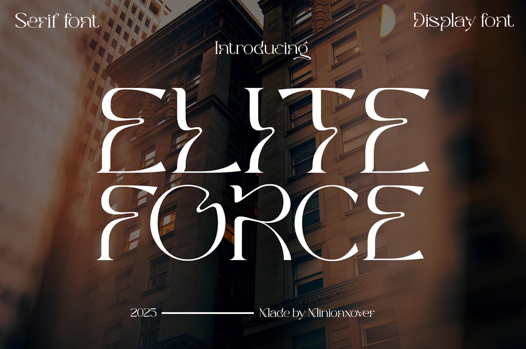 ELITE FORCE - Modern Serif Font, Boho Font, Milenial Font, Canva Font ...