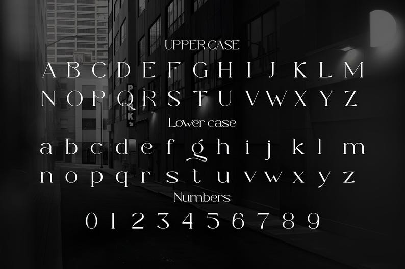 ELITE FORCE - Modern Serif Font, Boho Font, Milenial Font, Canva Font ...