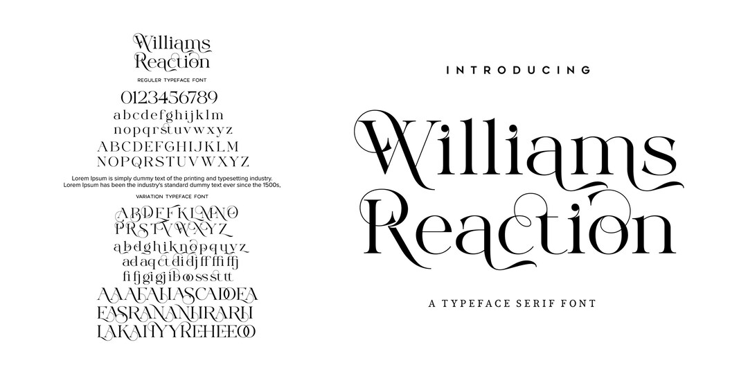 Williams Reaction Font - Serif Font, Modern Font, Swash Font, Fonts for ...
