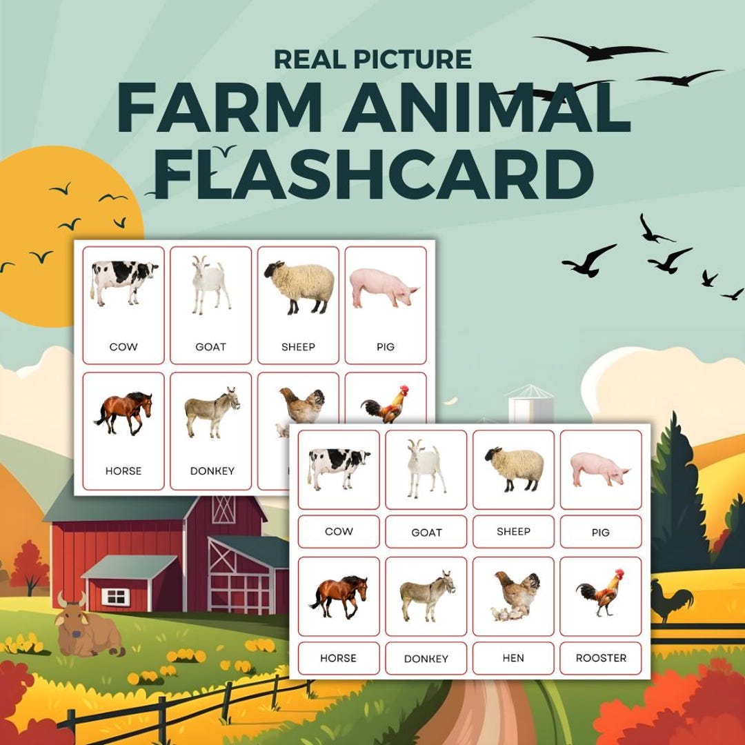 Farm Animal Flashcards With Real Pictures – Toddler & Preschool ...