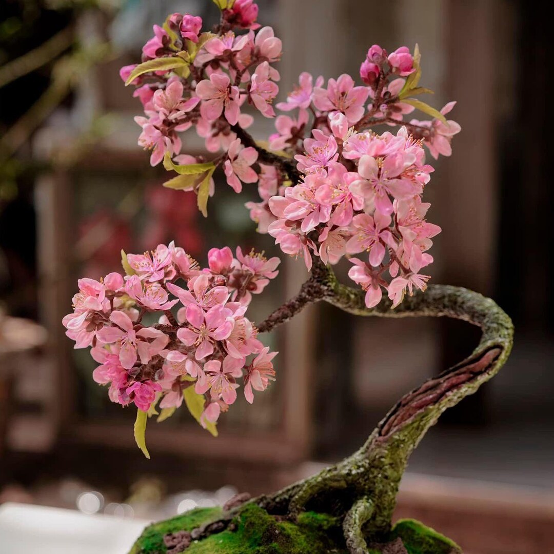 Handmade Cherry/sakura Clay Bonsai Tree - Unique, Realistic ...