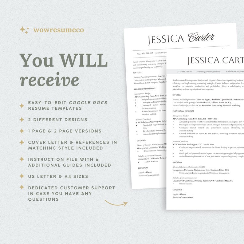 ATS Resume Template for Google Doc | 2026 Executive CEO Resume and ...