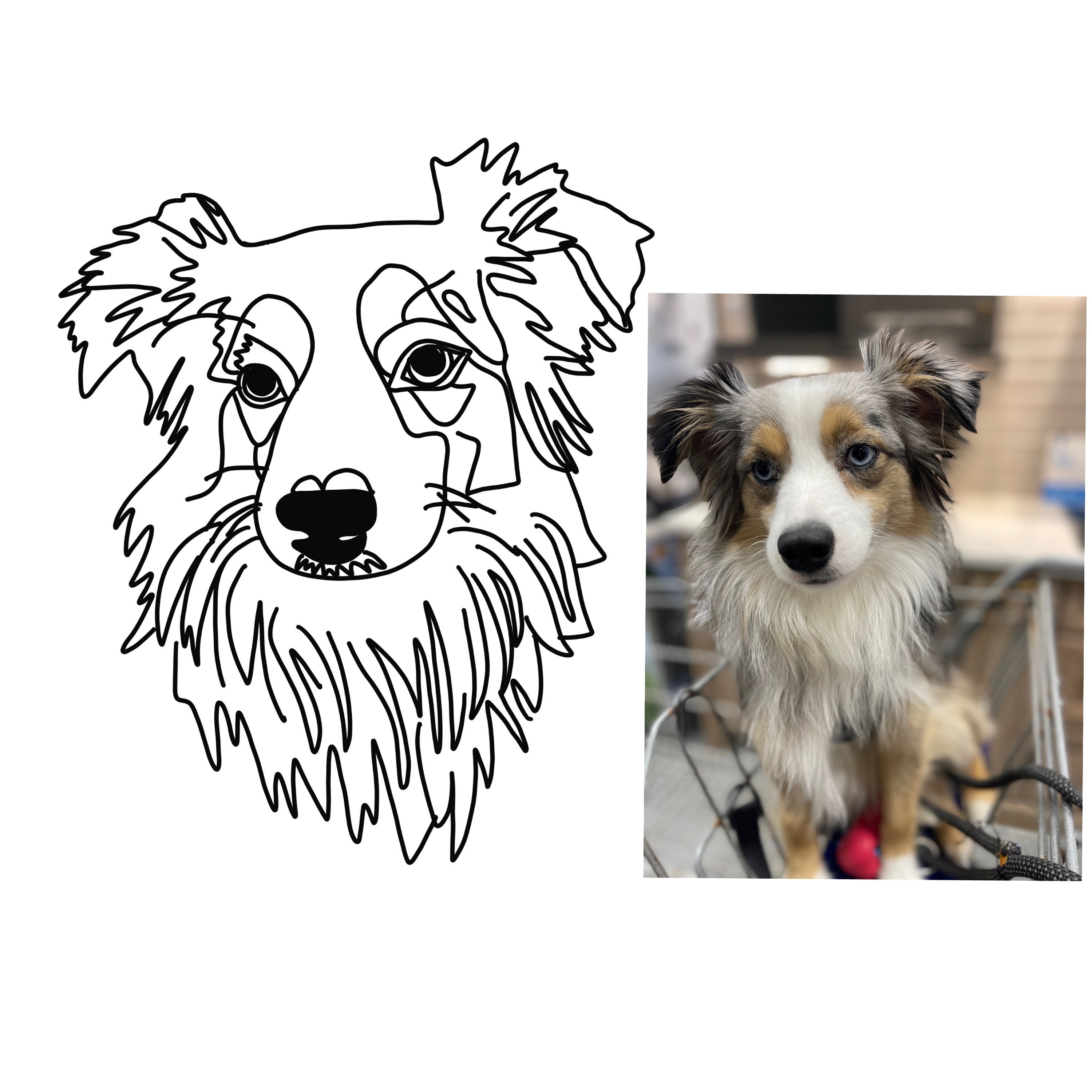 Custom Pet Line Drawing, Dog Portrait, Cat Portrait, Pet Contour ...