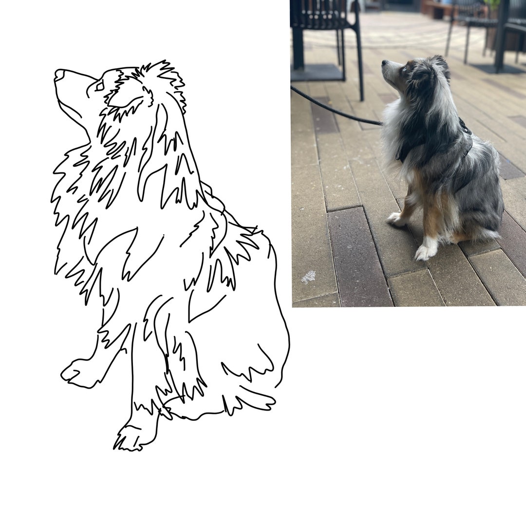 Custom Pet Line Drawing, Dog Portrait, Cat Portrait, Pet Contour ...