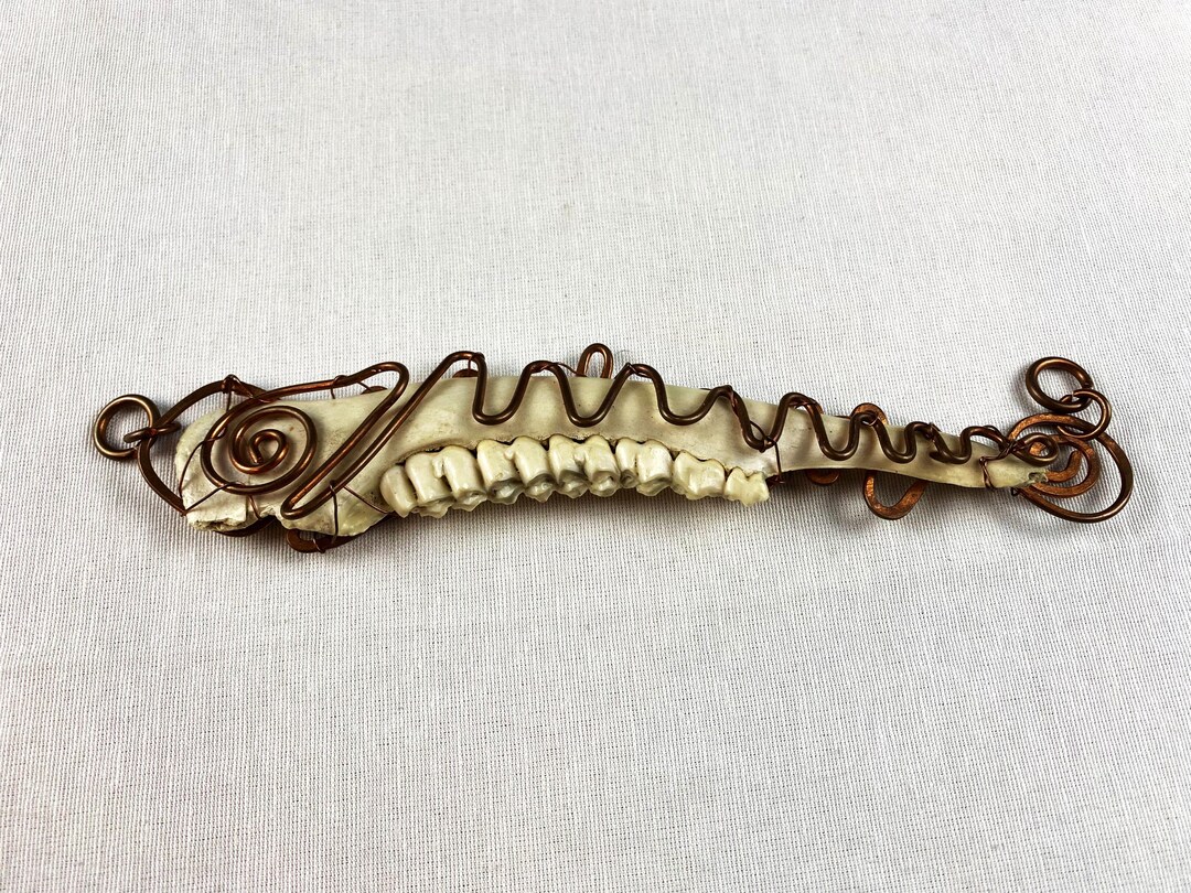 Decorative Deer Jawbone, Wall Hanging Decor Real Bone Skull Deer Animal ...