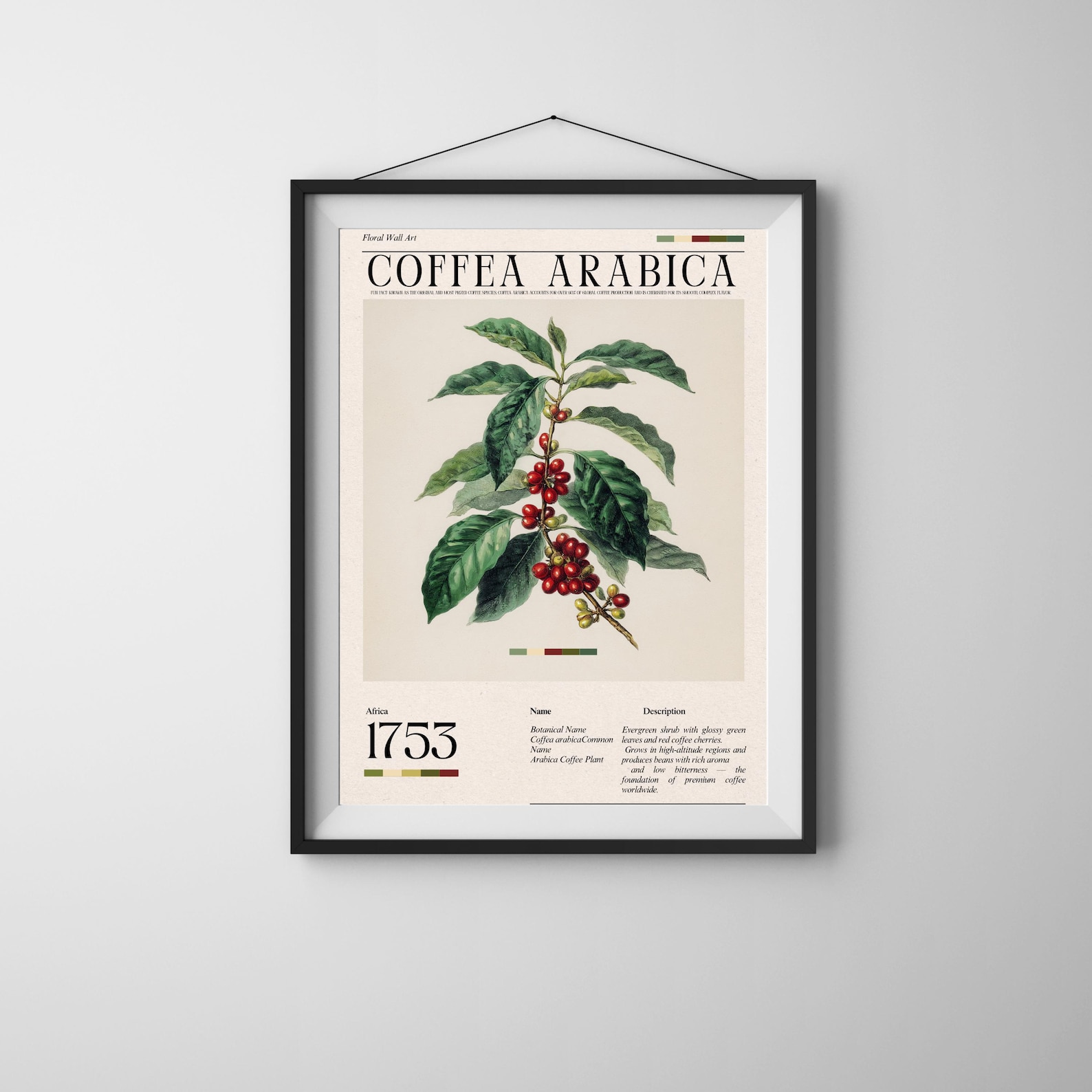 Arabica Coffee Botanical Print, Vintage Coffee Plant Wall Art, Kitchen ...