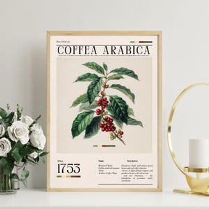 Arabica Coffee Botanical Print, Vintage Coffee Plant Wall Art, Kitchen ...