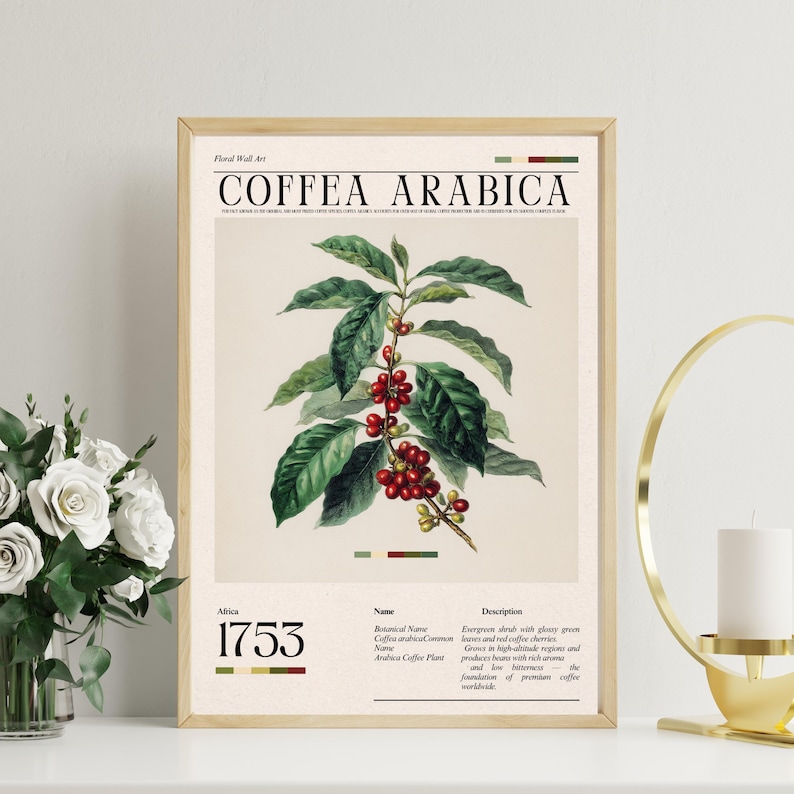 Arabica Coffee Botanical Print, Vintage Coffee Plant Wall Art, Kitchen ...