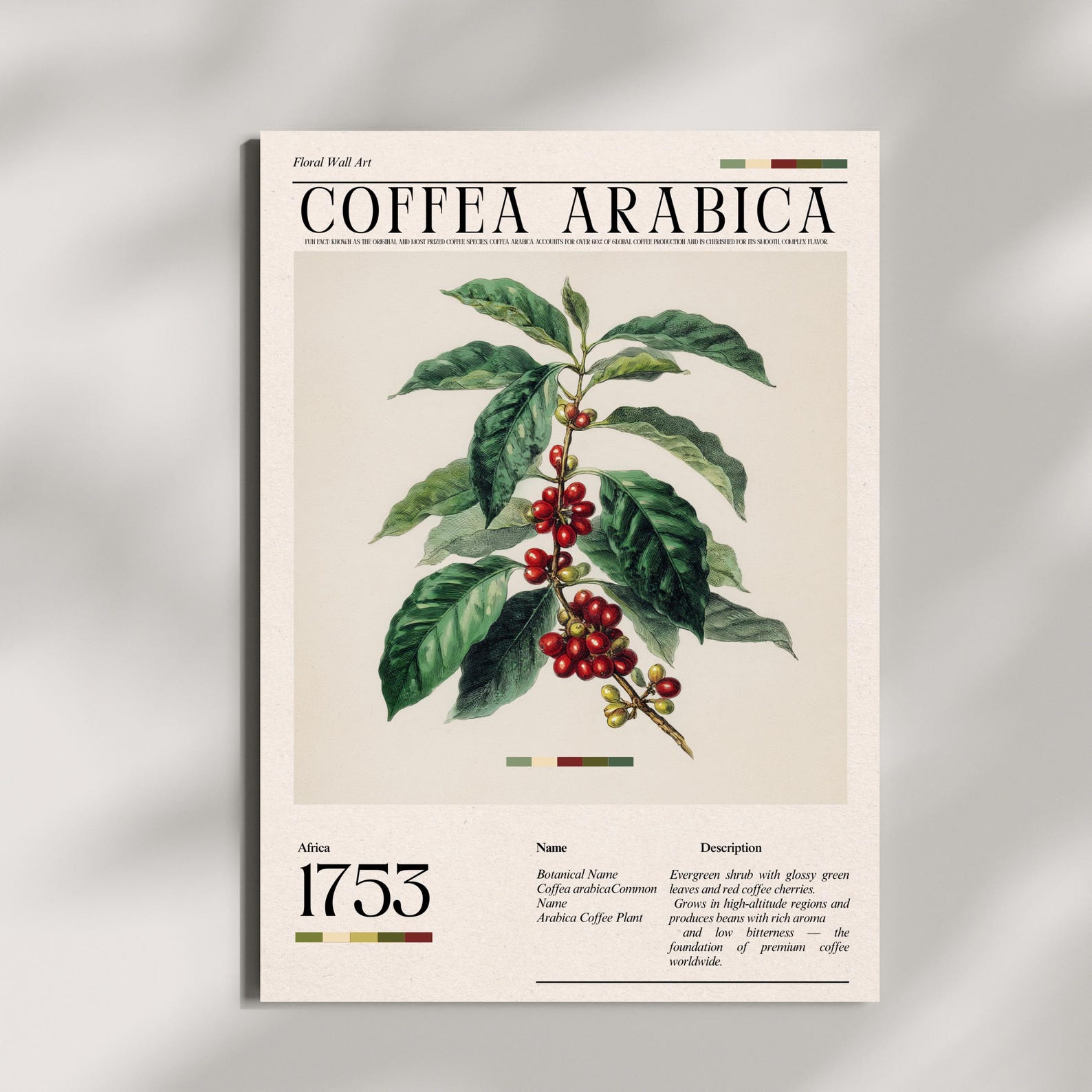 Arabica Coffee Botanical Print, Vintage Coffee Plant Wall Art, Kitchen ...