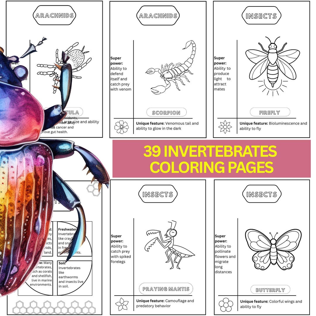 Invertebrates Coloring Book: Educational Animal Activity Pages (PDF ...