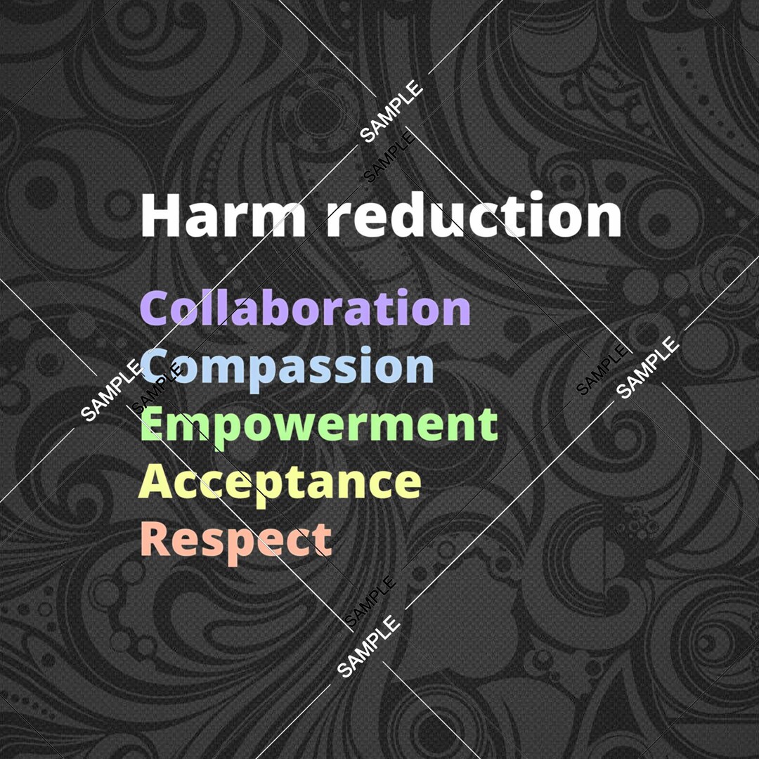 Harm Reduction Model PNG Digital File - Etsy