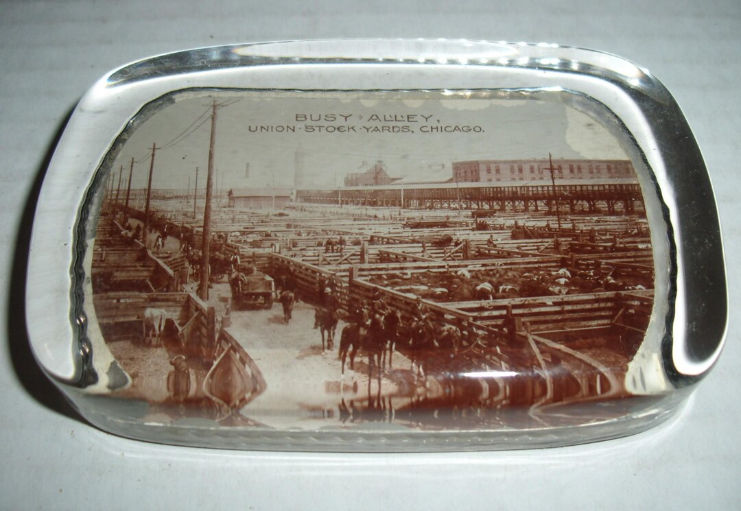 Antique Busy Alley Union Stock Yards, Chicago. Rectangle Paperweight - Etsy