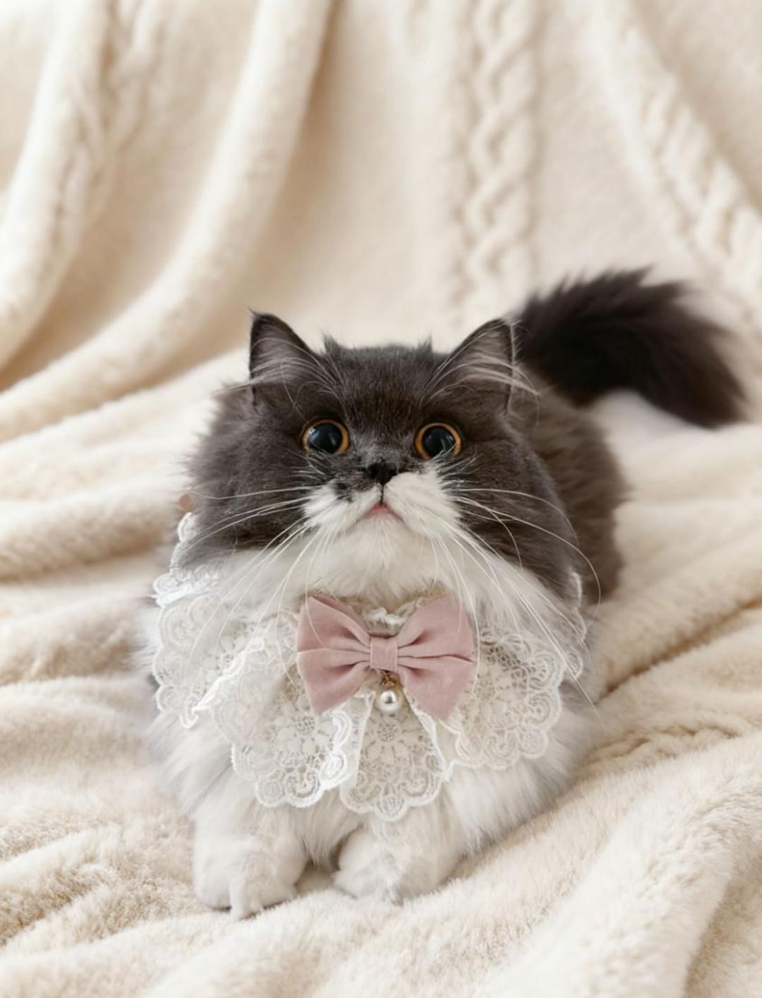 Lace Pearl Bib for Cats, Adjustable Drool Bib, Kitten Bow Collar ...