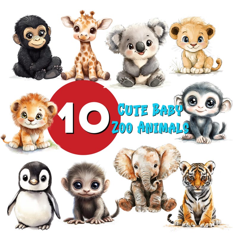 Cute Baby Zoo Animals PNG Clipart Bundle, Digital Image, Cute Zoo ...
