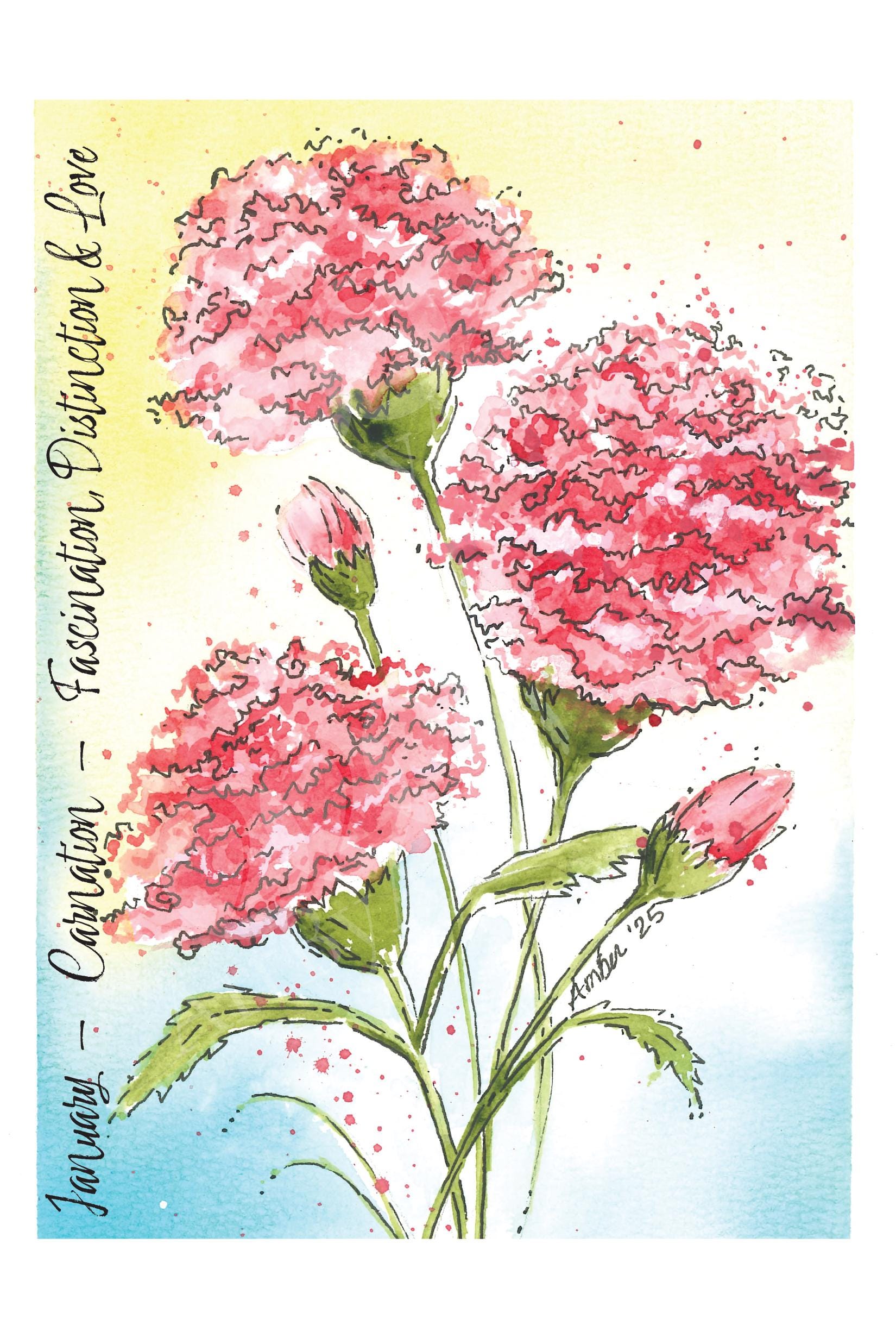 DIGITAL DOWNLOAD**** January Birth Flower, Carnation Watercolor ...