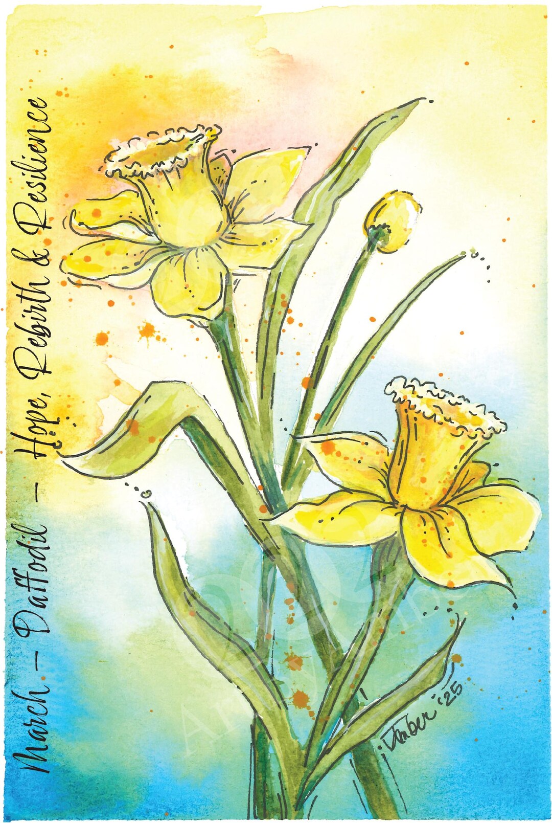 DIGITAL DOWNLOAD**** March Birth Flower, Daffodil Watercolor Painting ...