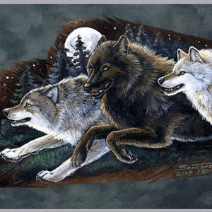Wolf Pack Running Wildlife Art Painted Feather Print - Etsy