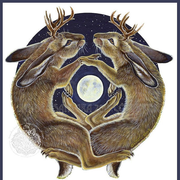 Jackalope Mount - Etsy