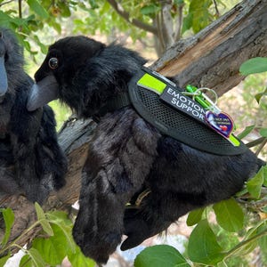 ESSA Raven Crow Emotional Support Stuffed Animal Plush Personalized ...