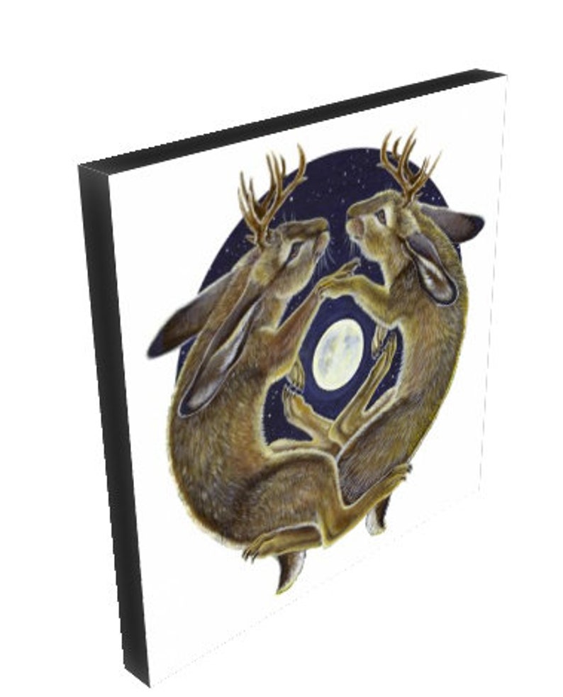 Jackalope Moon Hares Spirit Animal Southwest Print - Etsy