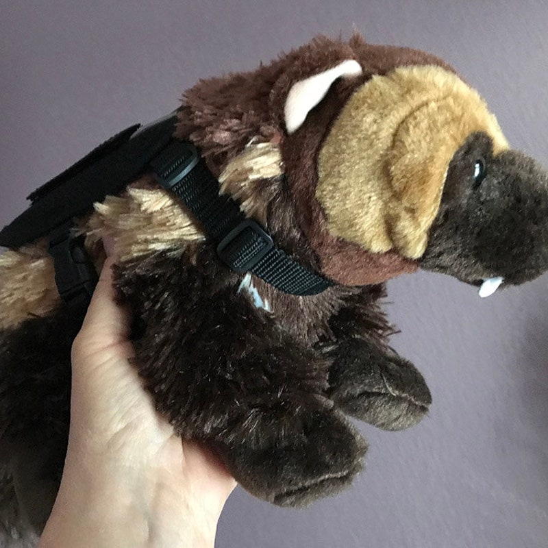 Wolverine Animal - Etsy