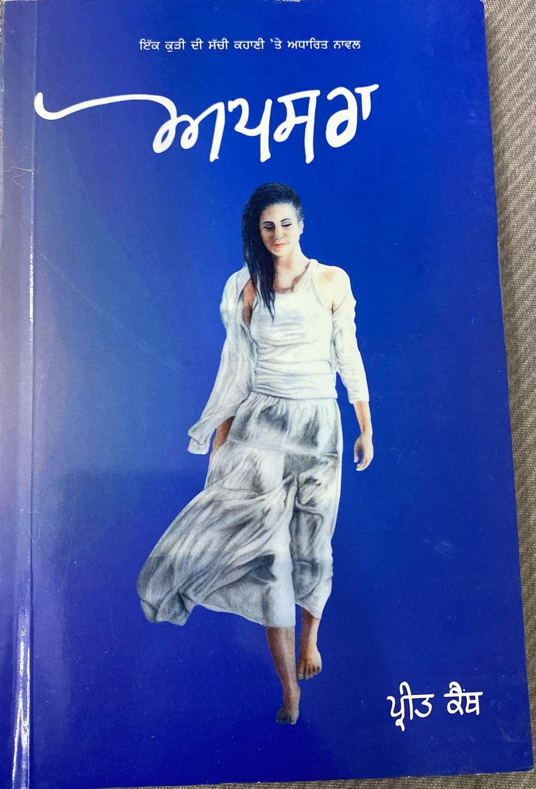 Apsara Punjabi Book, Bestseller, True Story, Punjabi Edition - Etsy